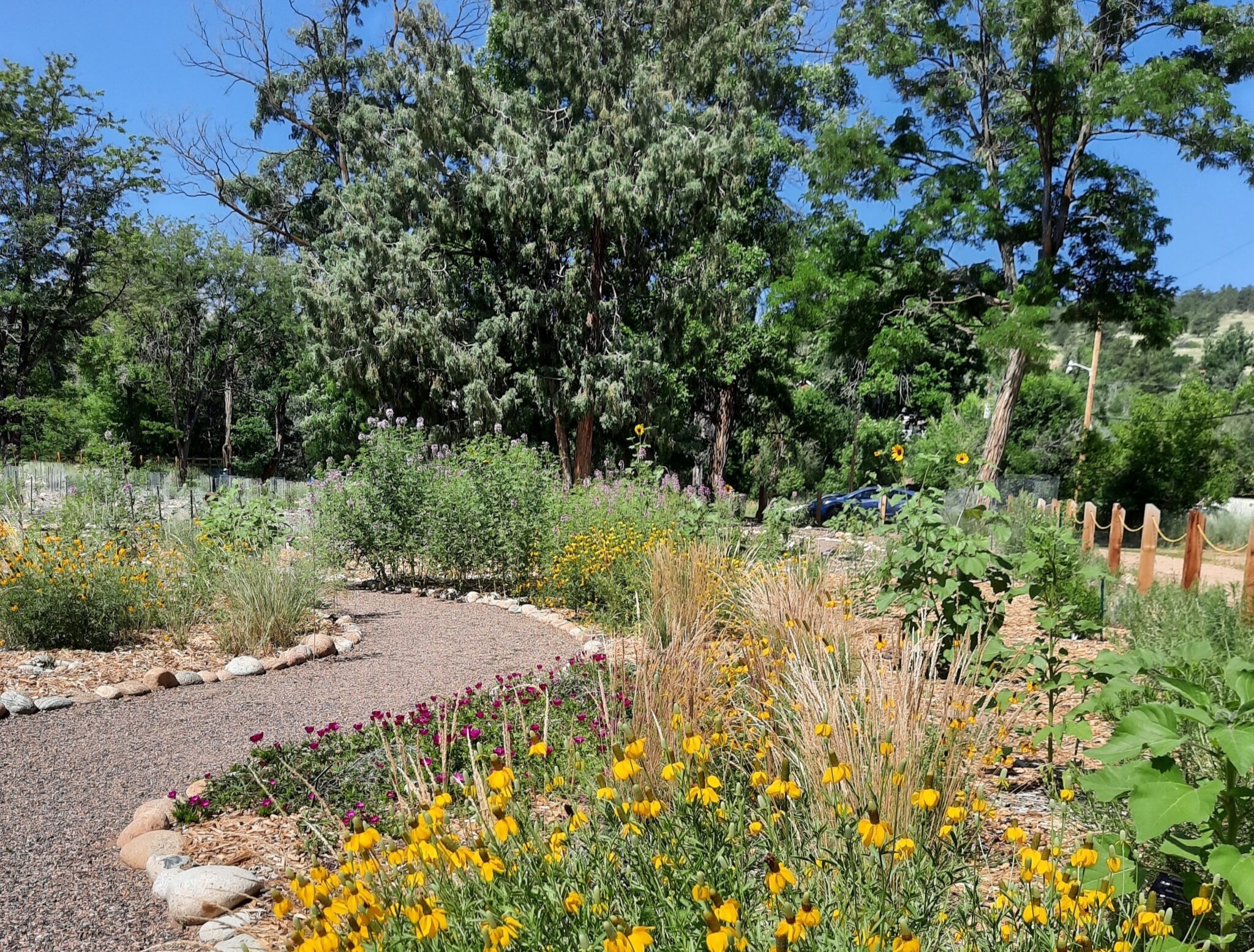 Rocky Mountain Botanic Gardens – Native Colorado plants in Lyons, CO.